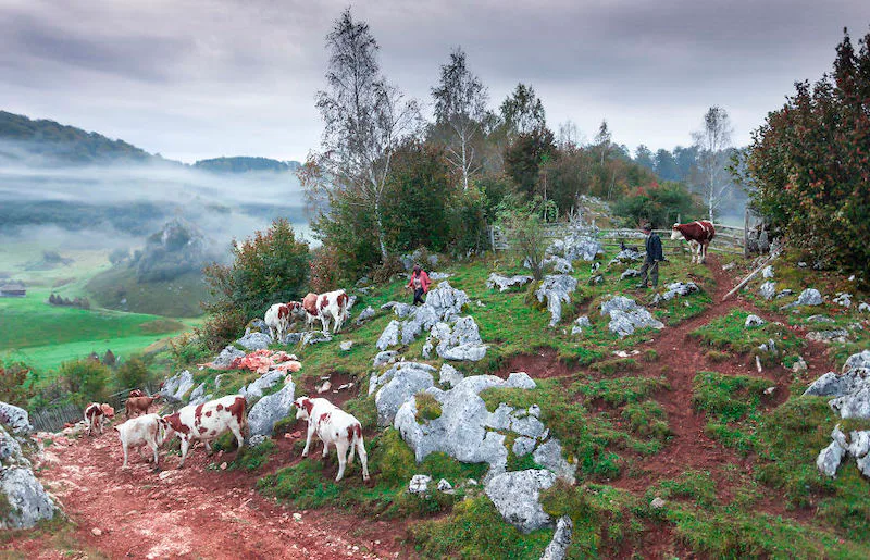 Painterly Photographs of Beautiful Modern-Day Transylvania